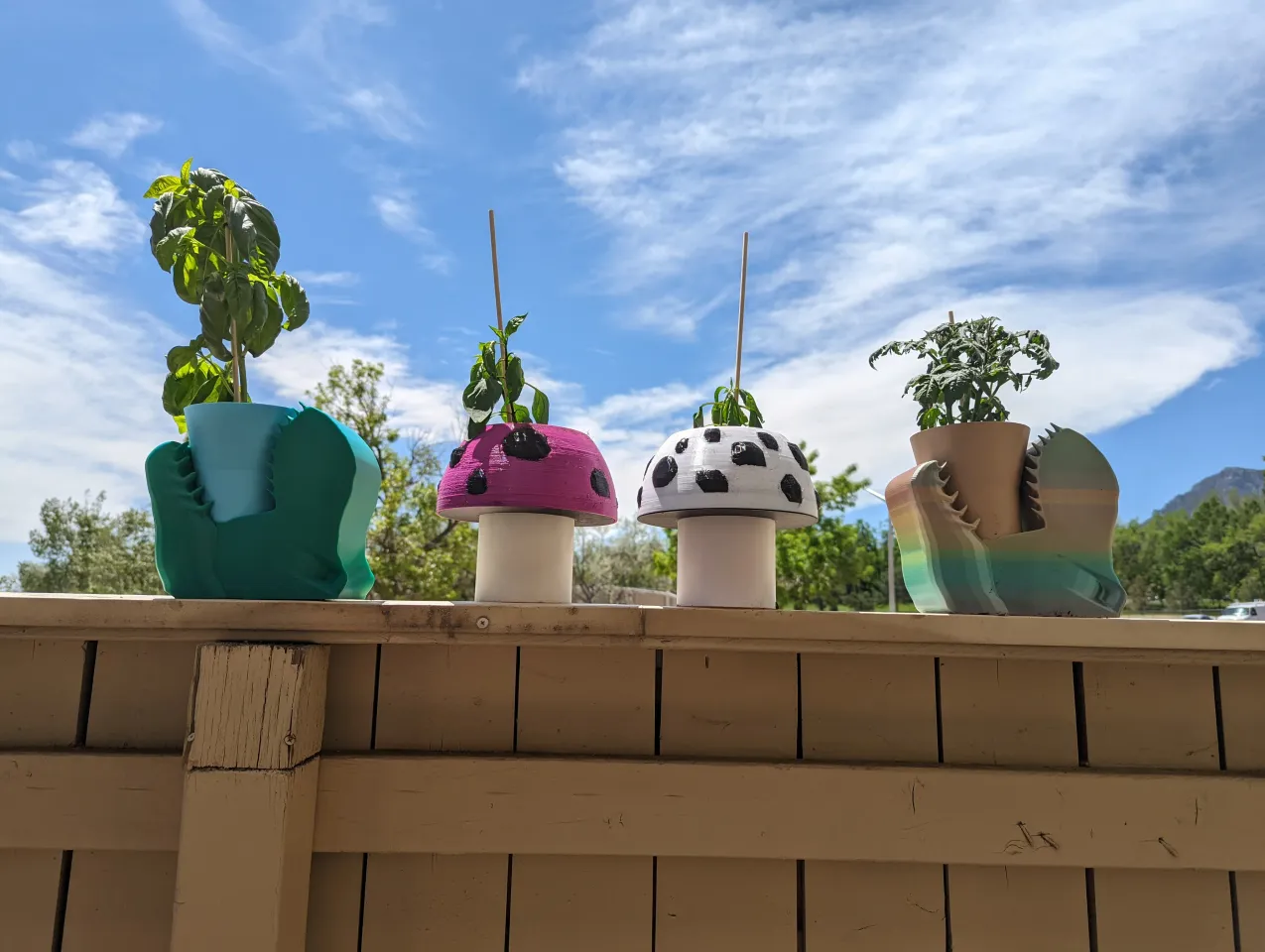 T-Rex Decorative Planter by deinfinityx | Download free STL model ...