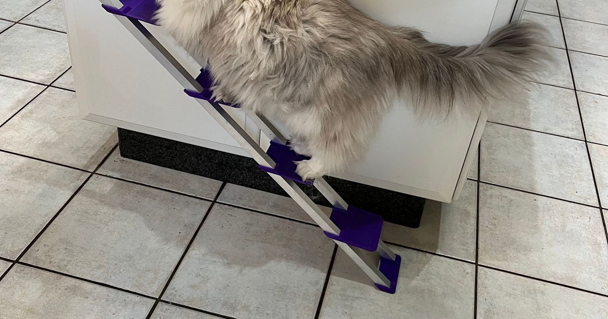 Cat Ladder by Anthony Walley | Download free STL model | Printables.com