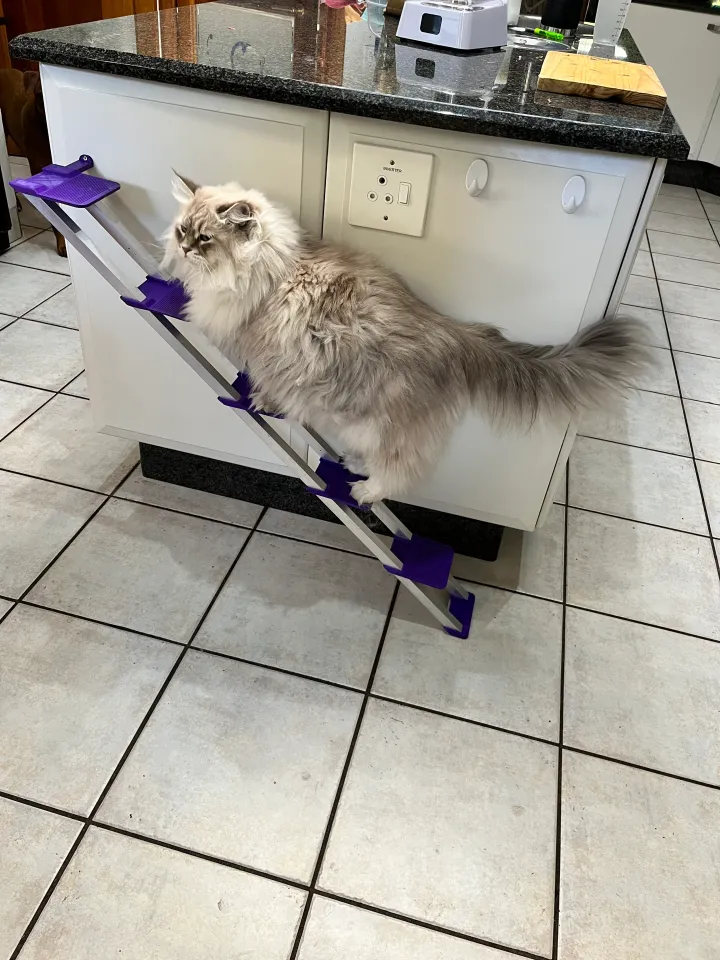 Cat Ladder by Anthony Walley | Download free STL model | Printables.com
