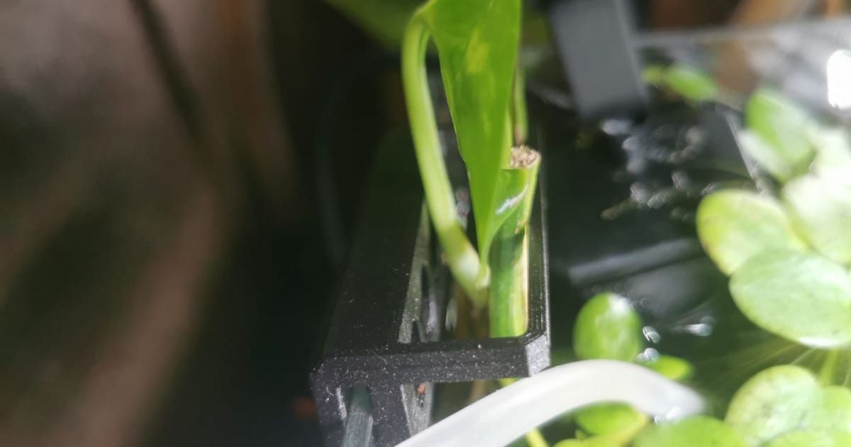 Universal Aquarium Holder by mxx-lxg | Download free STL model ...