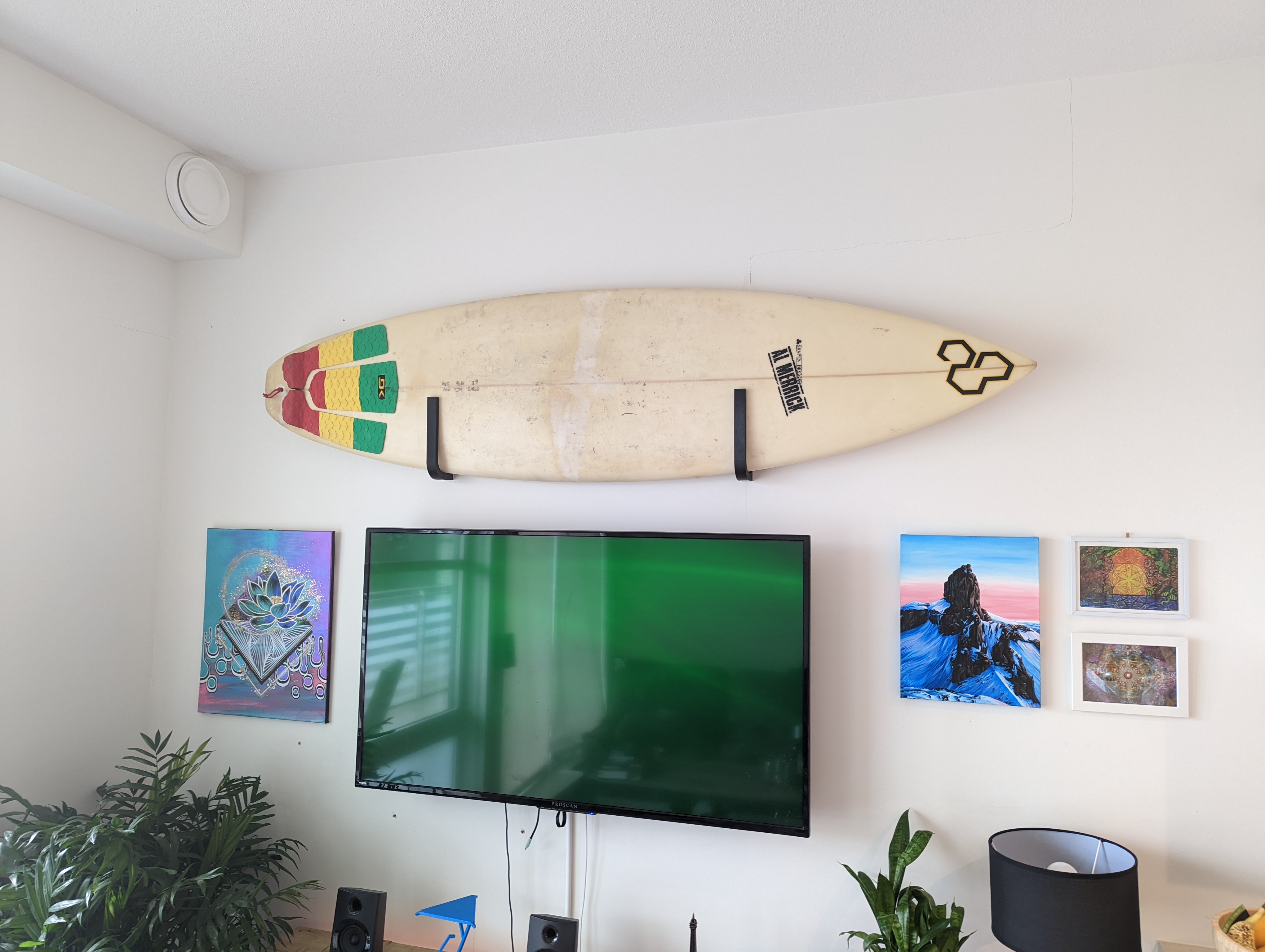 Decorative Surfboard Wall Mounts | Shelly Lighting