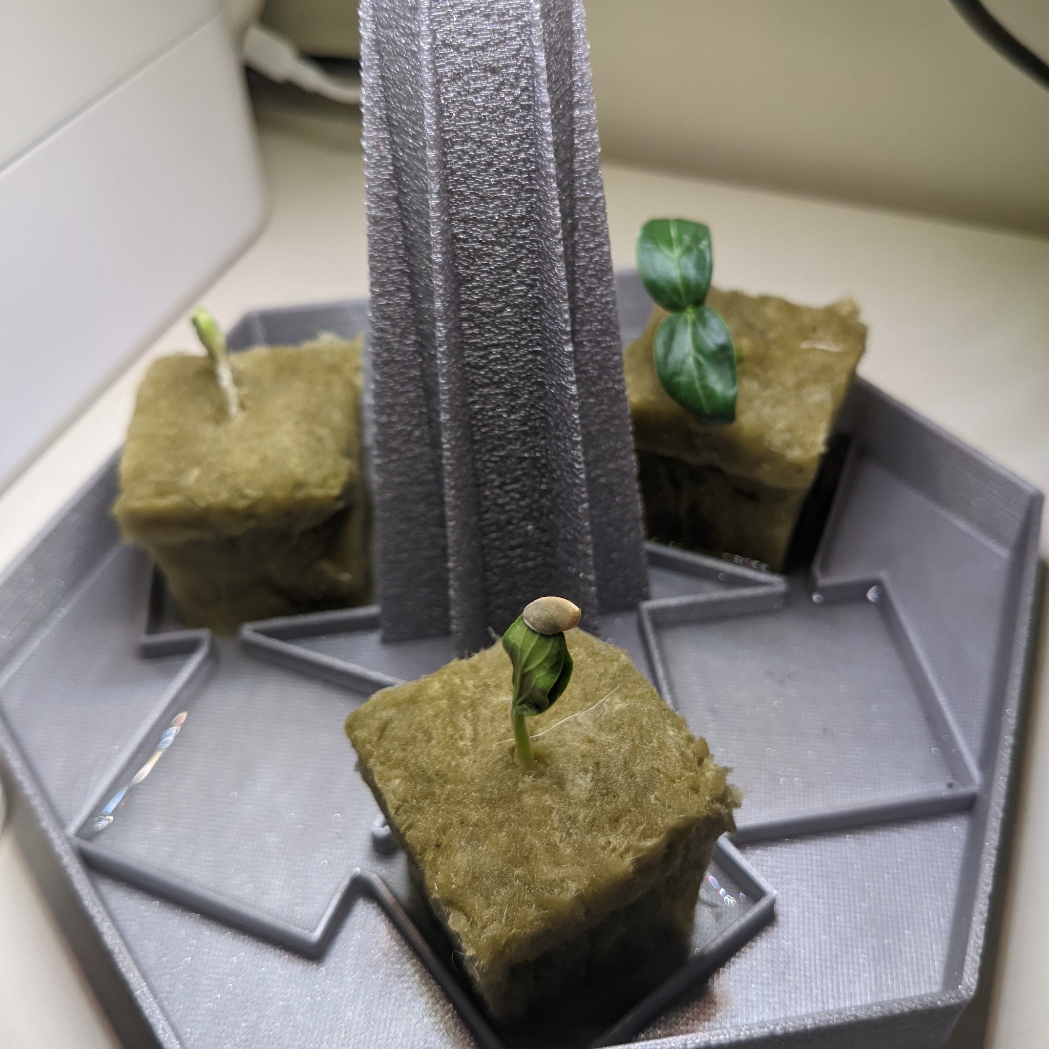 Seed starter tray (and light mount) by Nigel Johnson | Download free ...
