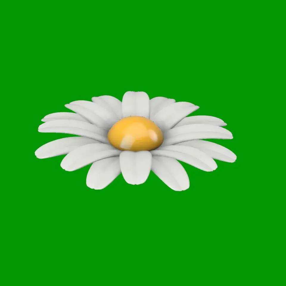 DAISY FLOWER - MARGHERITA by giuliancol | Download free STL model ...