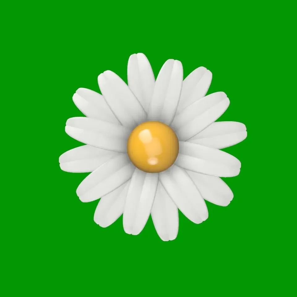 DAISY FLOWER - MARGHERITA by giuliancol | Download free STL model ...