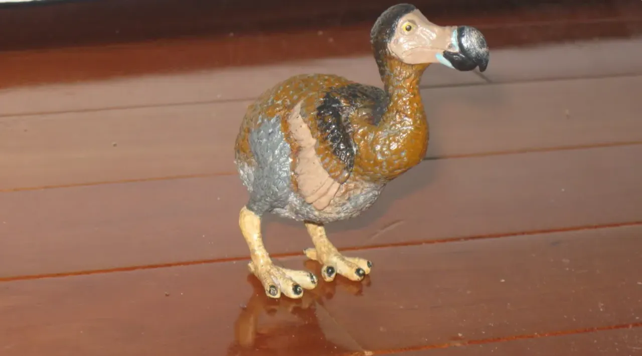 Dodo bird by IsiTapier | Download free STL model | Printables.com