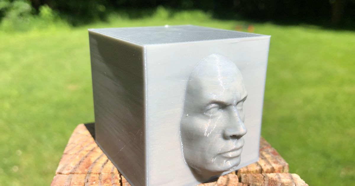 The Rock - Dwayne "The Block" Johnson von LinkDesigns | Kostenloses STL ...