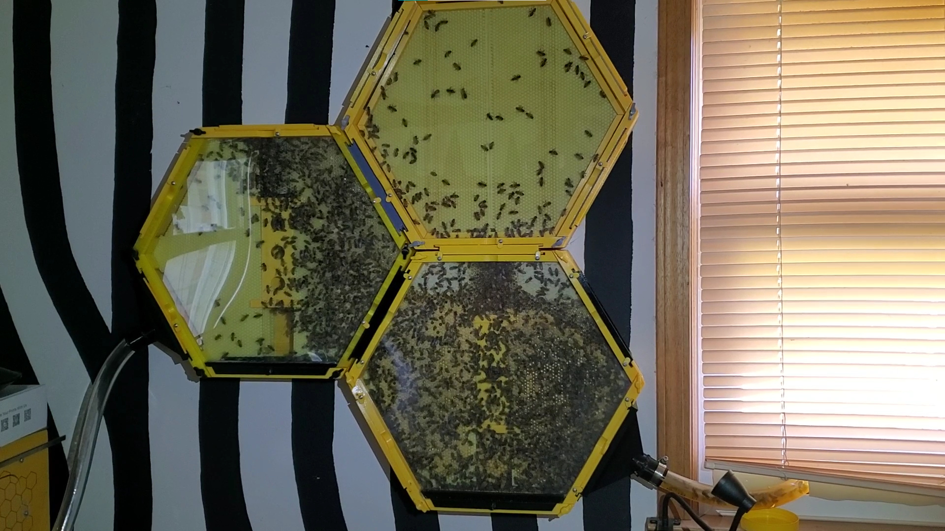 Indoor Bee Hive by teddyhatcher | Download free STL model | Printables.com