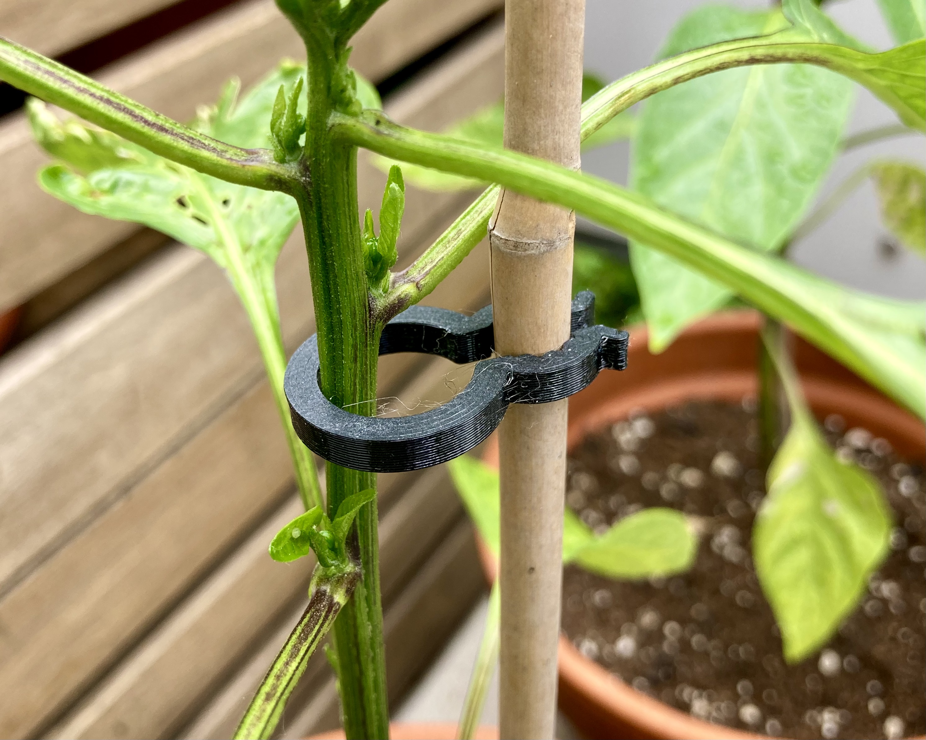 Plant Clip by Moritz | Download free STL model | Printables.com