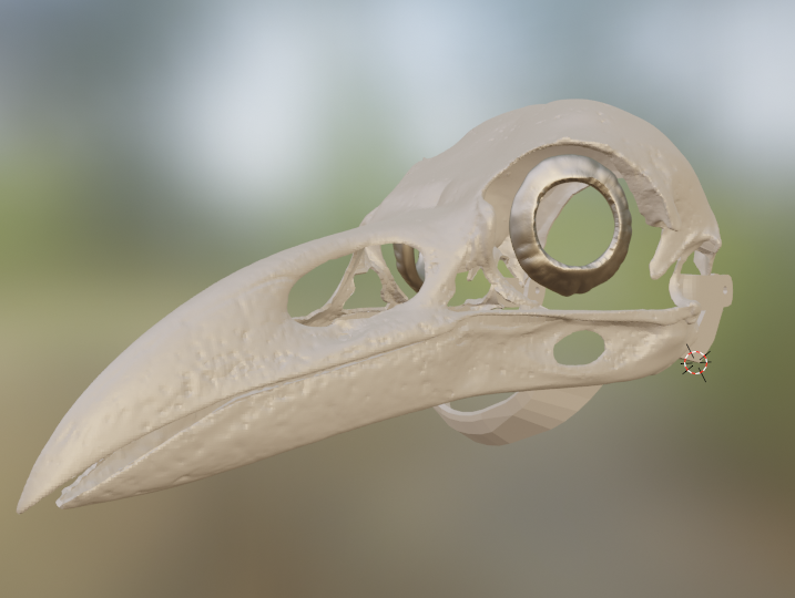 Raven Skull Mask by DragonArtist15 | Download free STL model ...