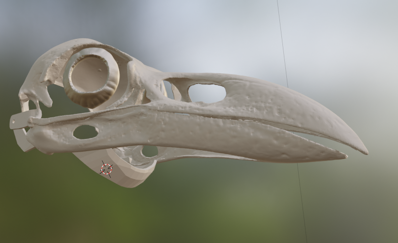 Raven Skull Mask by DragonArtist15 | Download free STL model ...