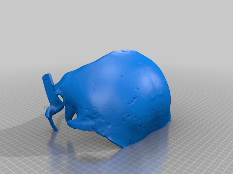 Raven Skull Mask by DragonArtist15 | Download free STL model ...