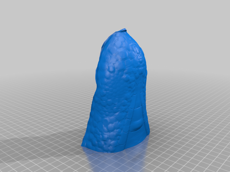 Rainwing Dragon Mask por DragonArtist15 | Descargar modelo STL gratuito ...