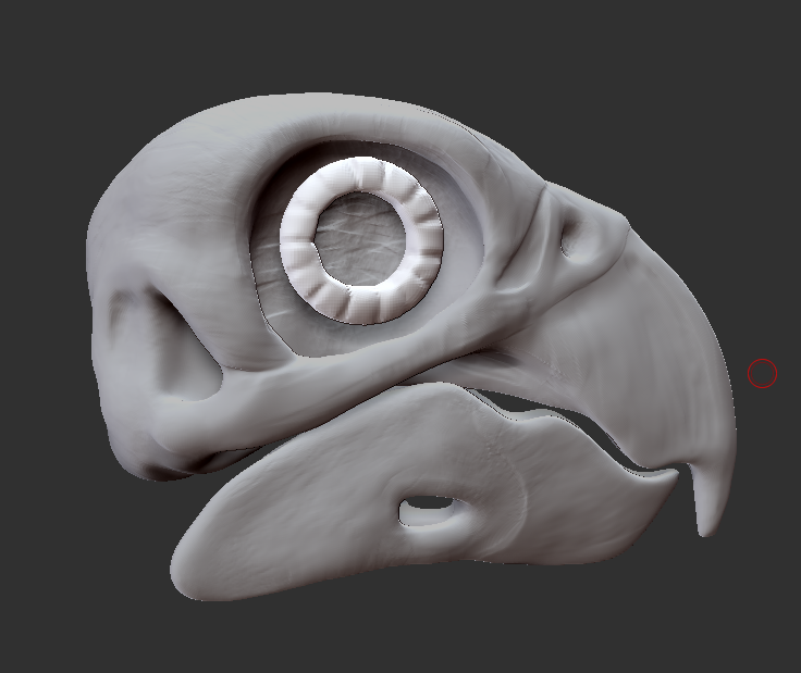 Green Cheek Conure Replica Skull by DragonArtist15 | Download free STL ...