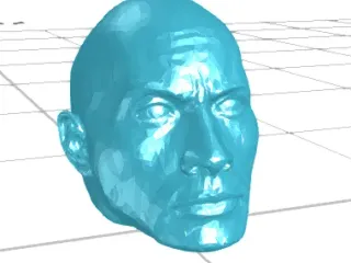 Dwayne "The Rock" Johnson Head by Nopety | Download free STL model ...