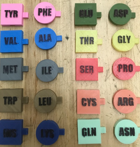Translation Modeling Activity by sgoclowski2023 | Download free STL ...