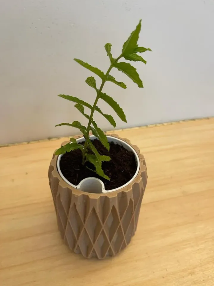 POT ! Plant by 3DP-MAMSIH | Download free STL model | Printables.com
