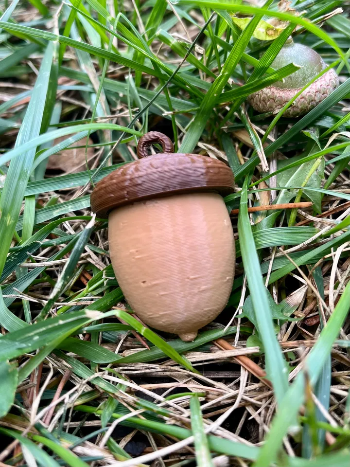 Acorn Screw Container by coop | Download free STL model | Printables.com