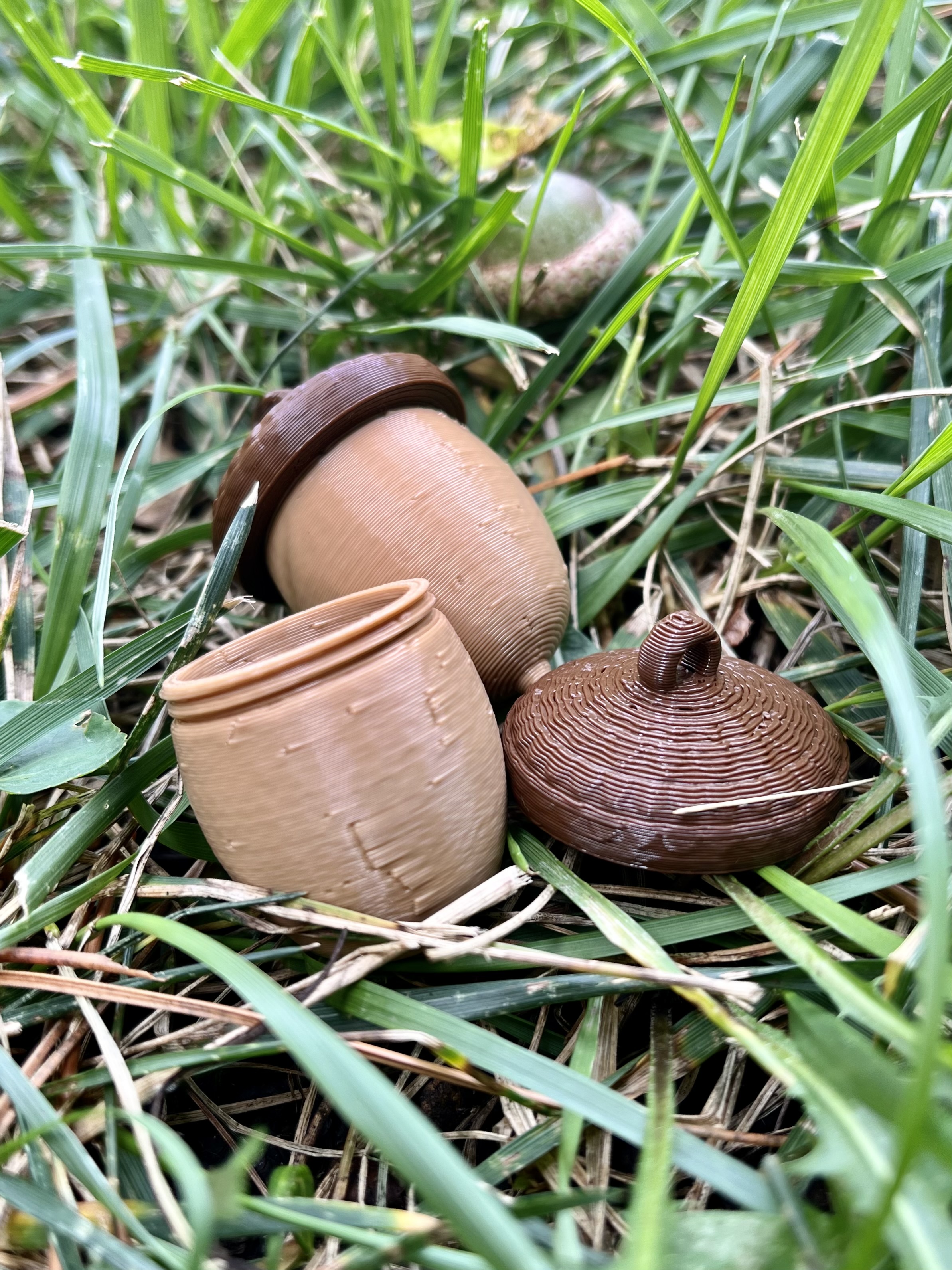 Acorn Screw Container by coop | Download free STL model | Printables.com