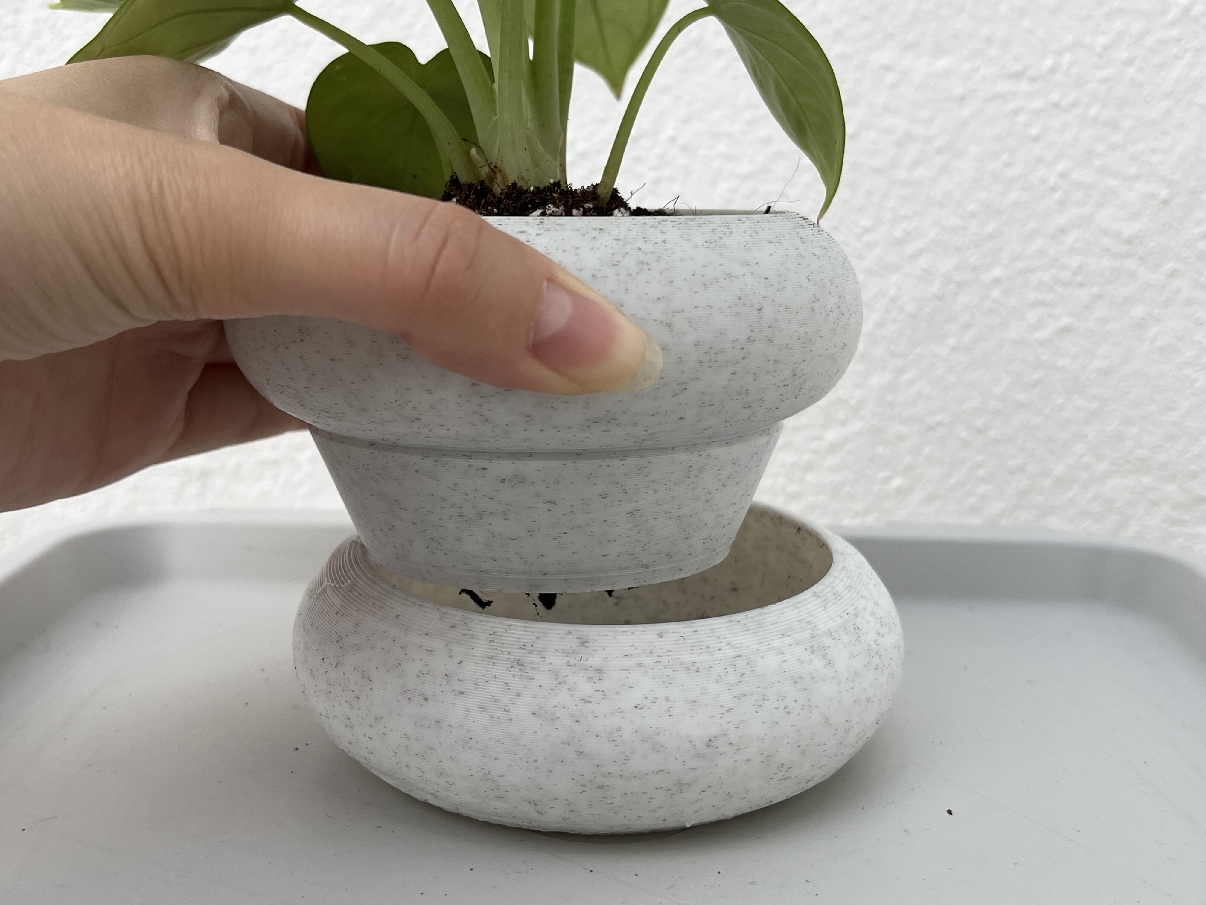 Double deck Plant Pot by JV Lobo | Download free STL model | Printables.com