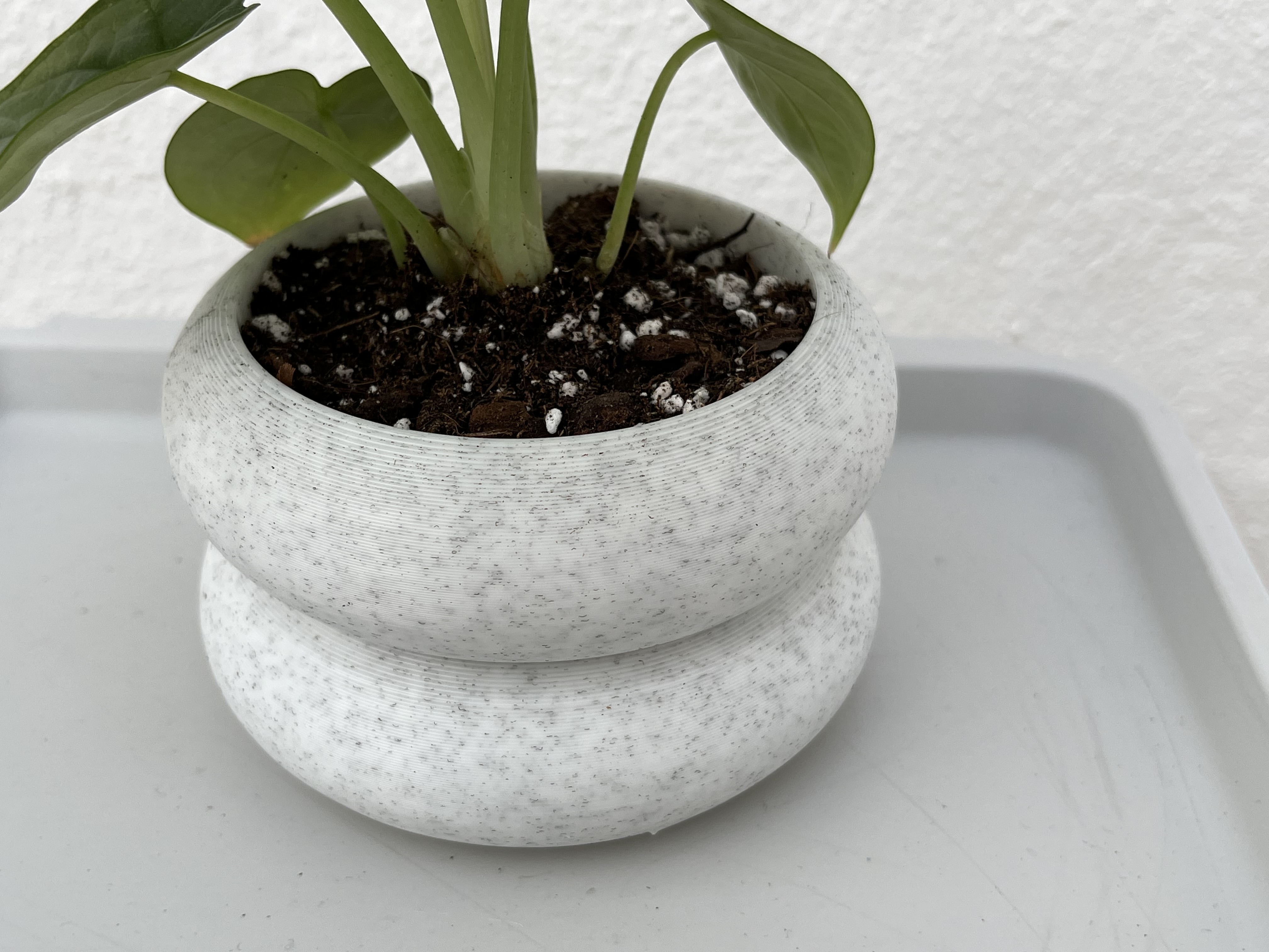 Double deck Plant Pot by JV Lobo | Download free STL model | Printables.com
