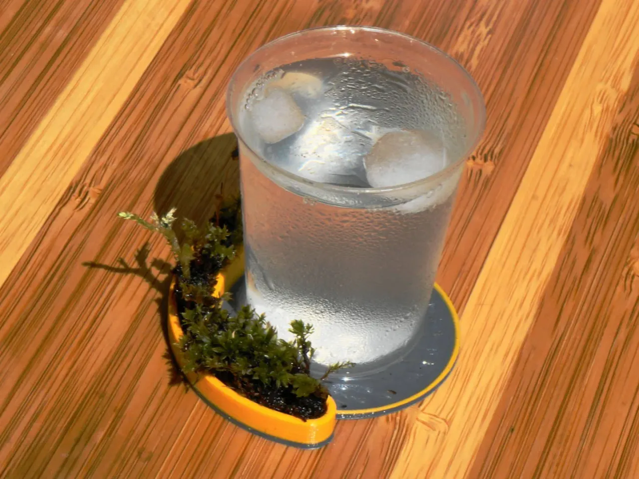 Moss Coaster by Jack | Download free STL model | Printables.com