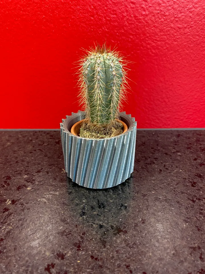Plant-Pot - Cactus by Padu | Download free STL model | Printables.com