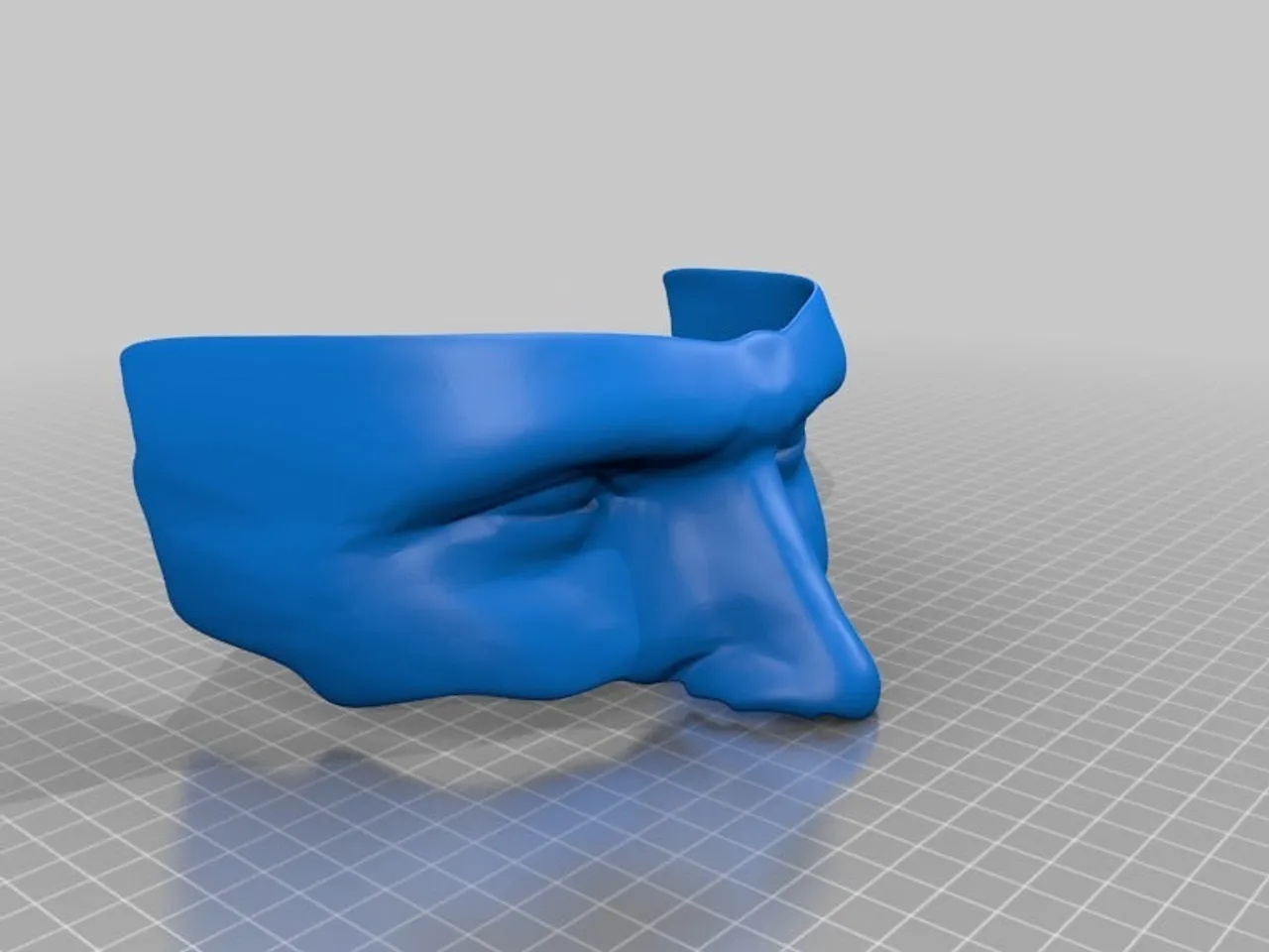 FACE by Jace1969 | Download free STL model | Printables.com