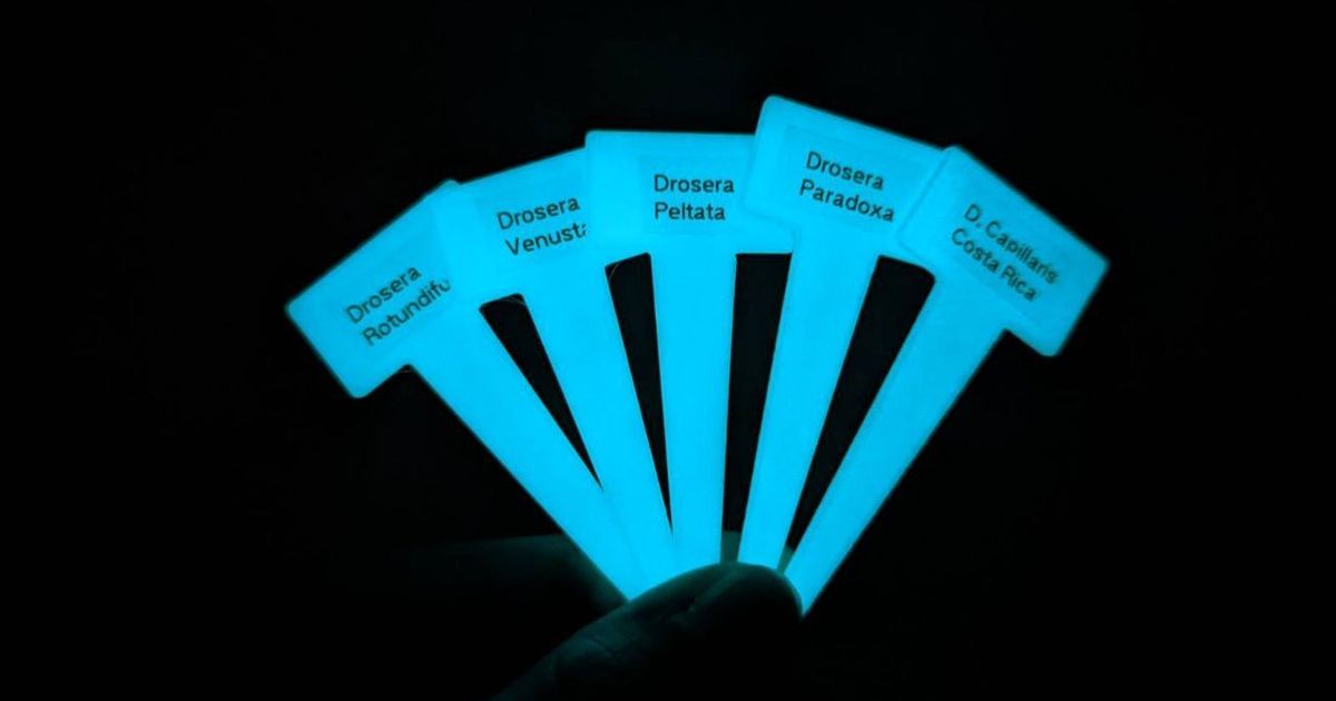 Simple Plant Tag by Aix Galericulata | Download free STL model ...