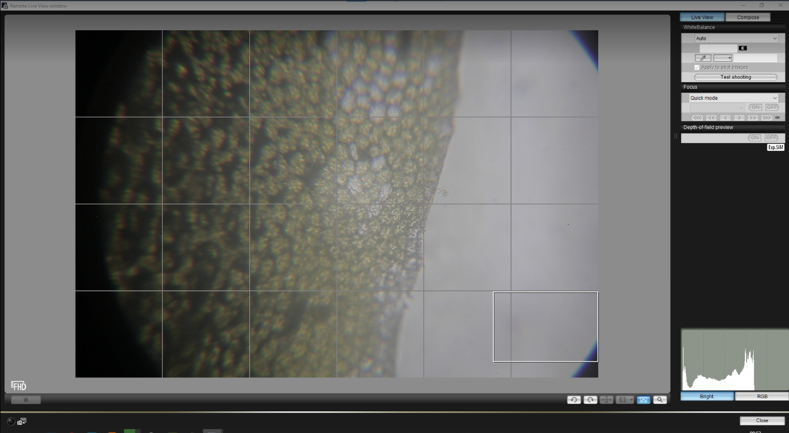 Canon EF to Microscope adapter by 3D_Printing_Enjoyer | Download free ...