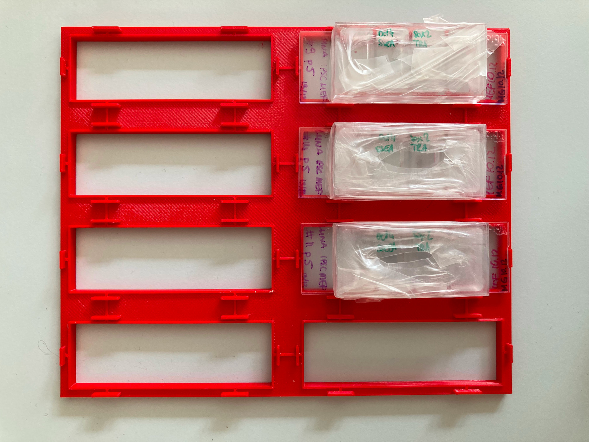 Microscope slide trays (6x, 8x) by wavexx | Download free STL model ...