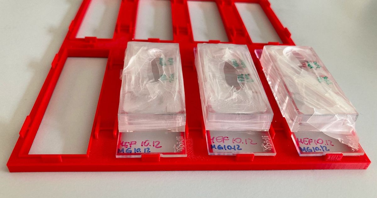 Microscope slide trays (6x, 8x) by wavexx | Download free STL model ...
