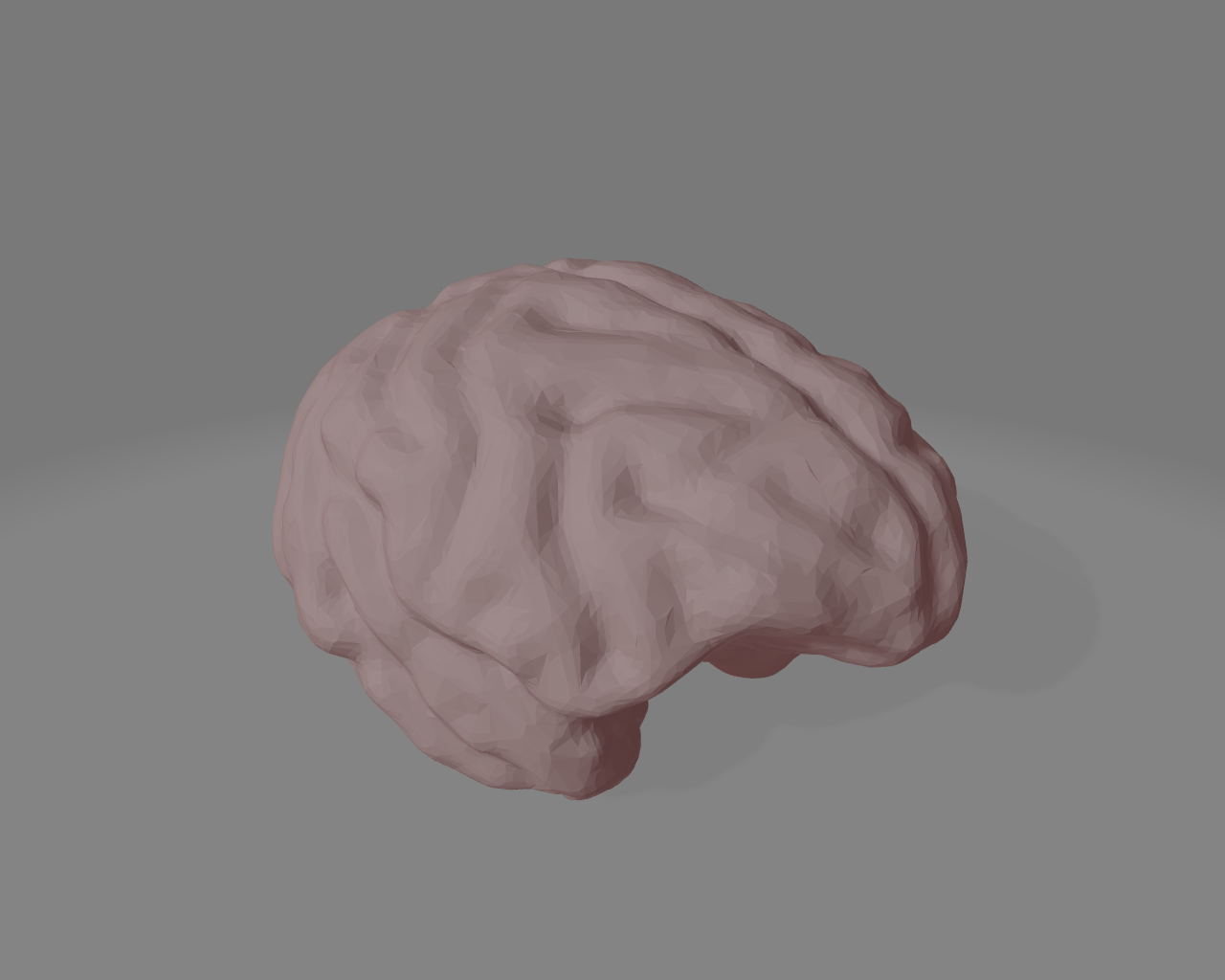 Macaque brain for resin printers by GiskardReventlov | Download free ...