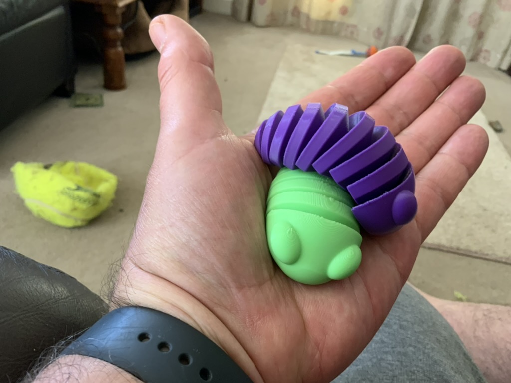 Articulated Trilobite Bug Thing by Jimson | Download free STL model ...