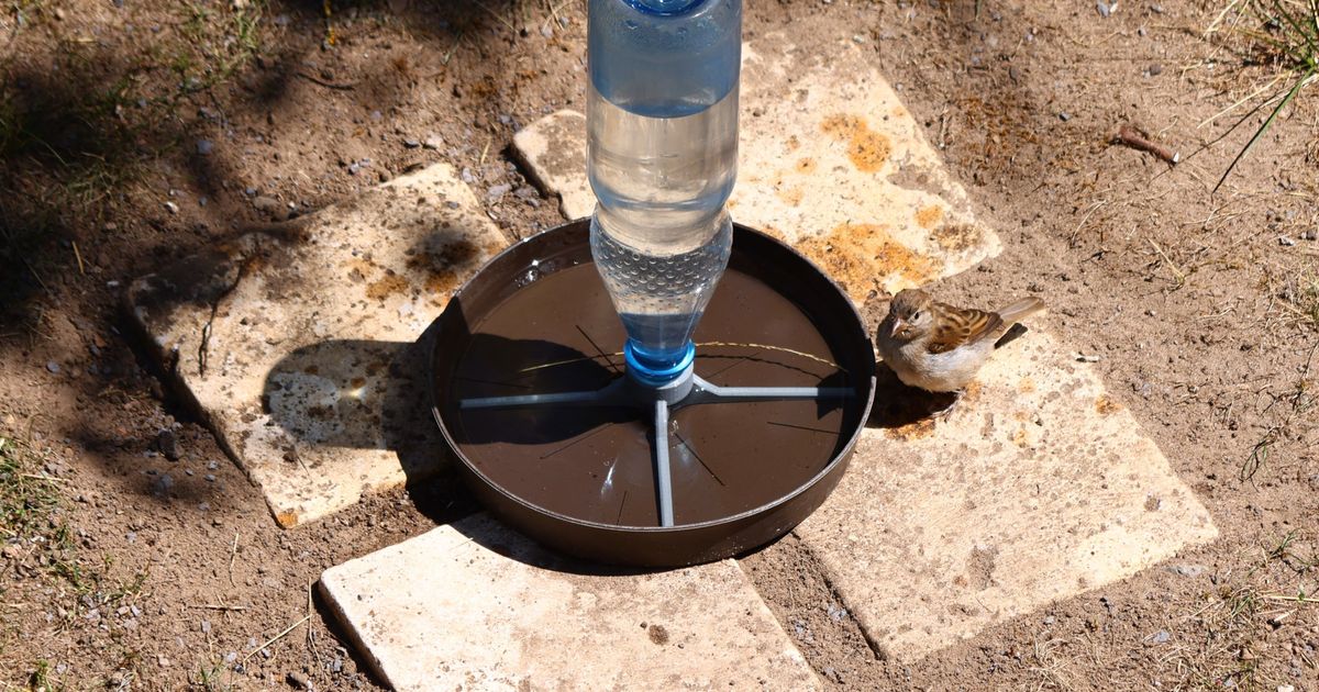 Heat Wave Bird Saver by PointNemo | Download free STL model ...