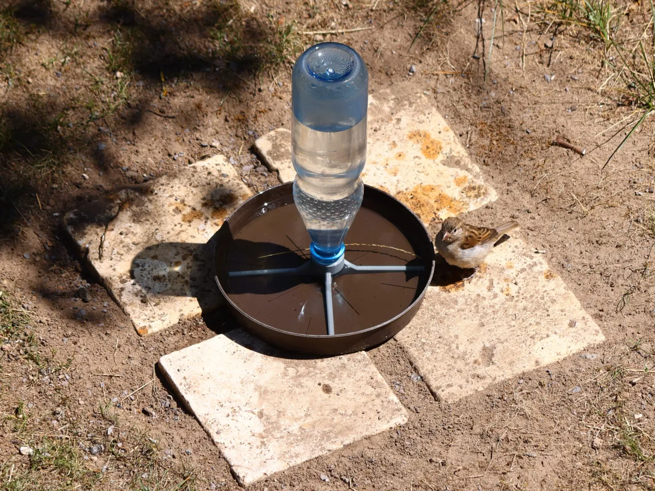 Heat Wave Bird Saver by PointNemo | Download free STL model ...