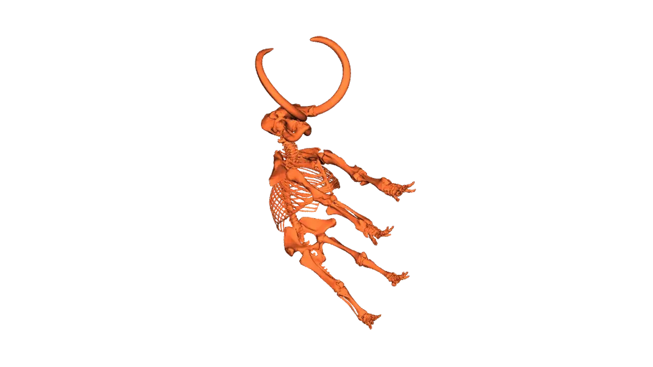 Steppe mammoth skeleton by Openair | Download free STL model ...