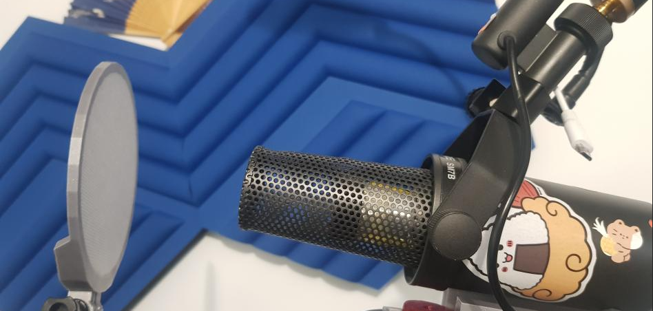 Microphone Pop Filter by fofamit | Download free STL model | Printables.com