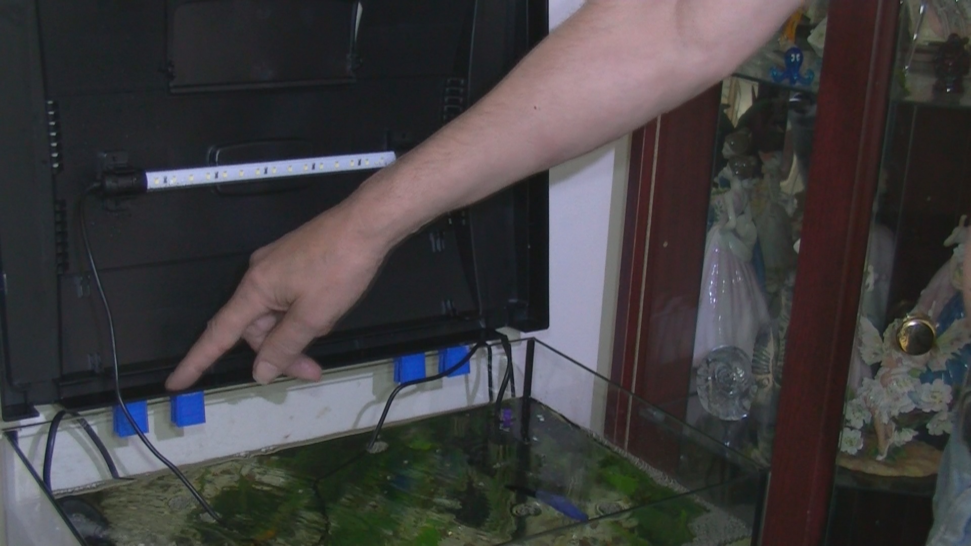 Fish Tank Open lid clips. To hold an open lid on a fish tank by 3D Try ...