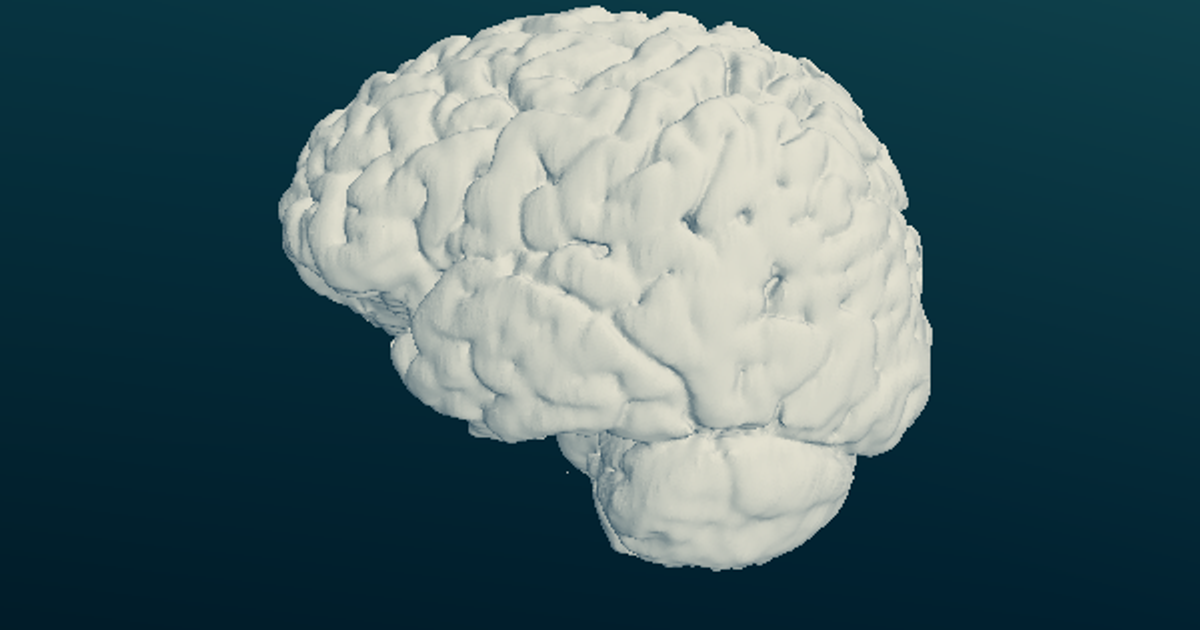 Human Brain by DeanCording | Download free STL model | Printables.com