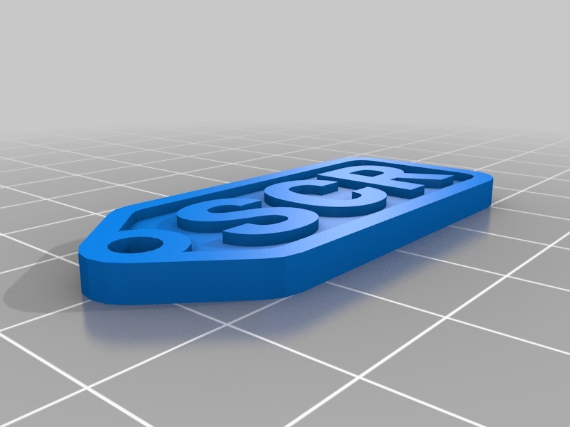 Customizable Bag Tag by scruss | Download free STL model | Printables.com