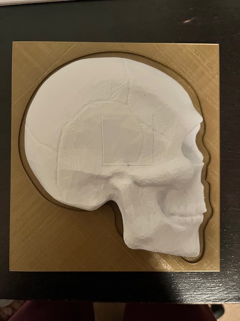 Burr Hole Model by maureen.nemetski | Download free STL model ...