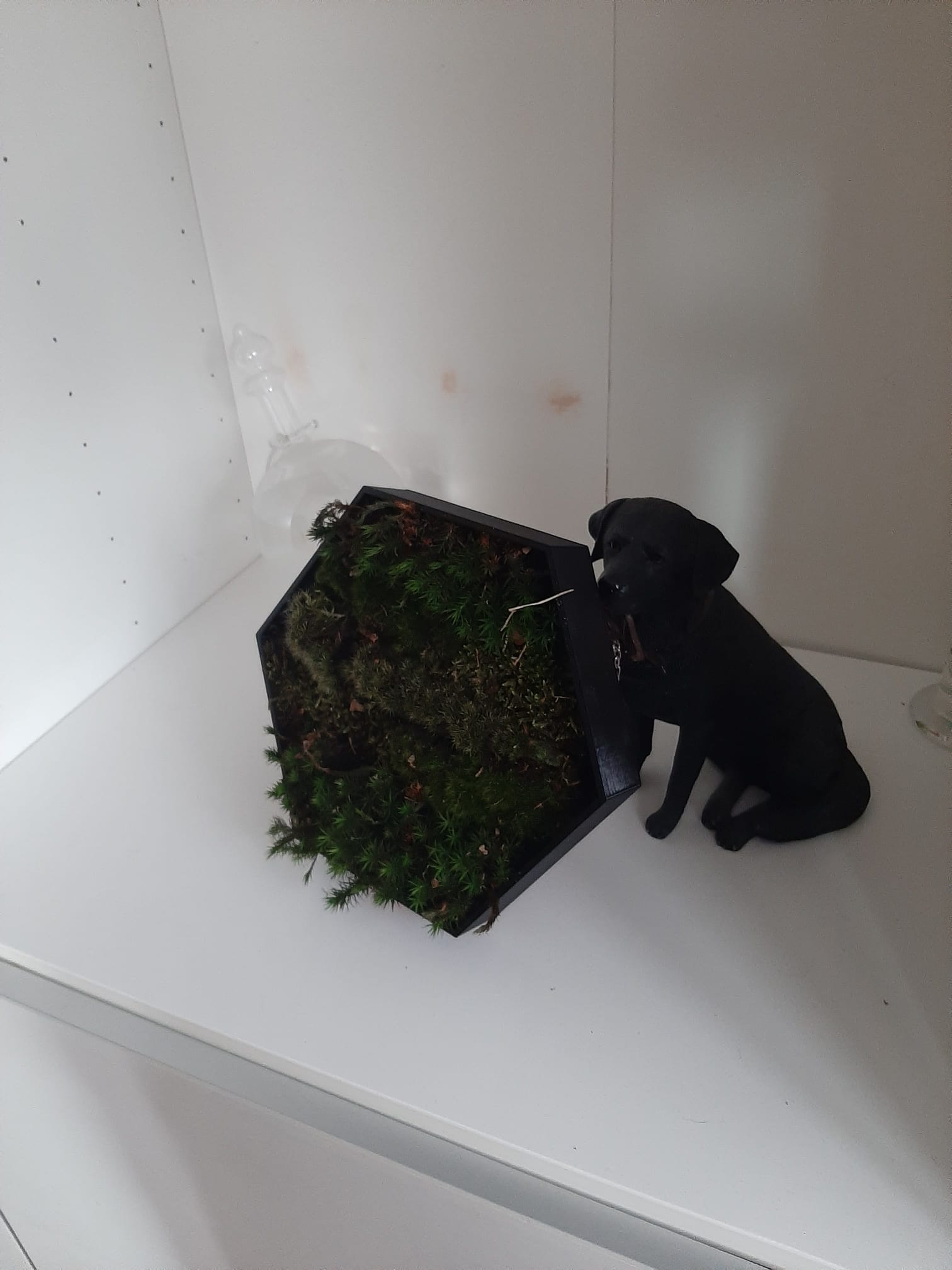 moss plate by thom | Download free STL model | Printables.com