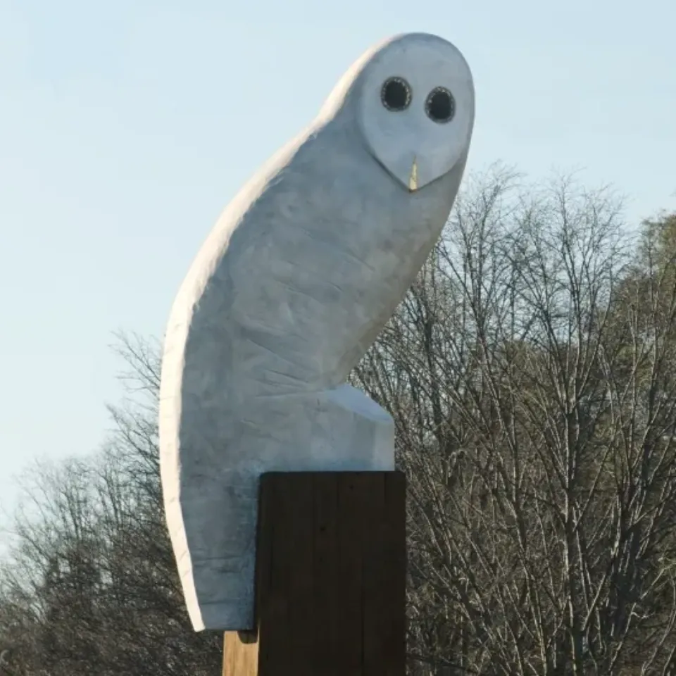 The Big Powerful Owl by William McCann | Download free STL model ...