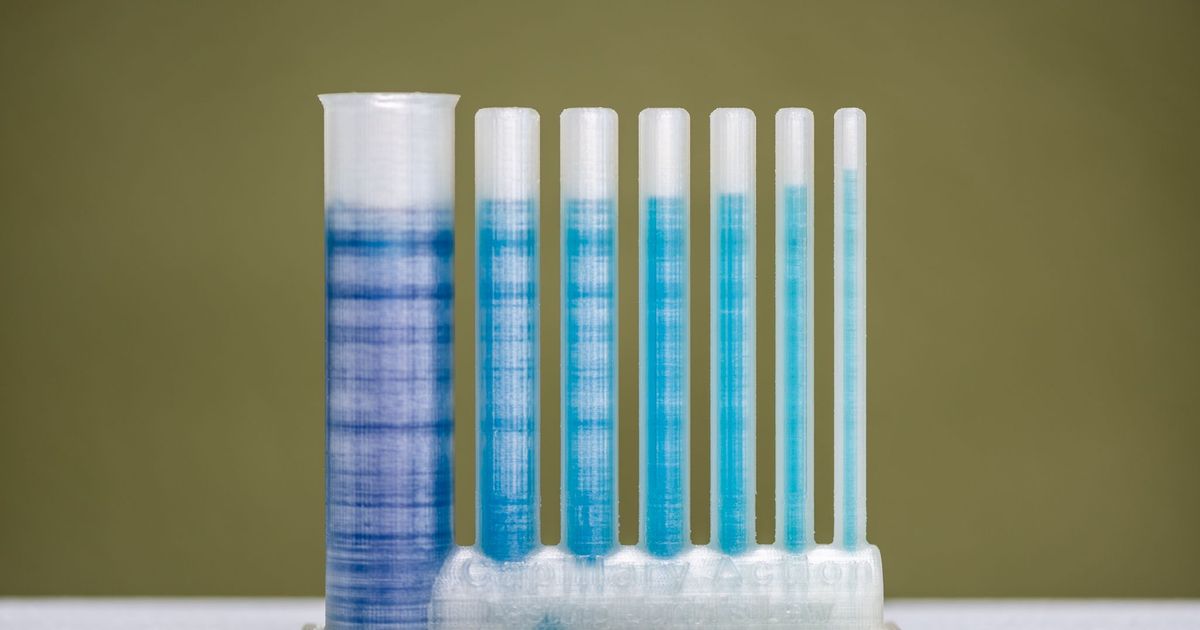 Capillary Action by Liturgical 3D | Download free STL model ...