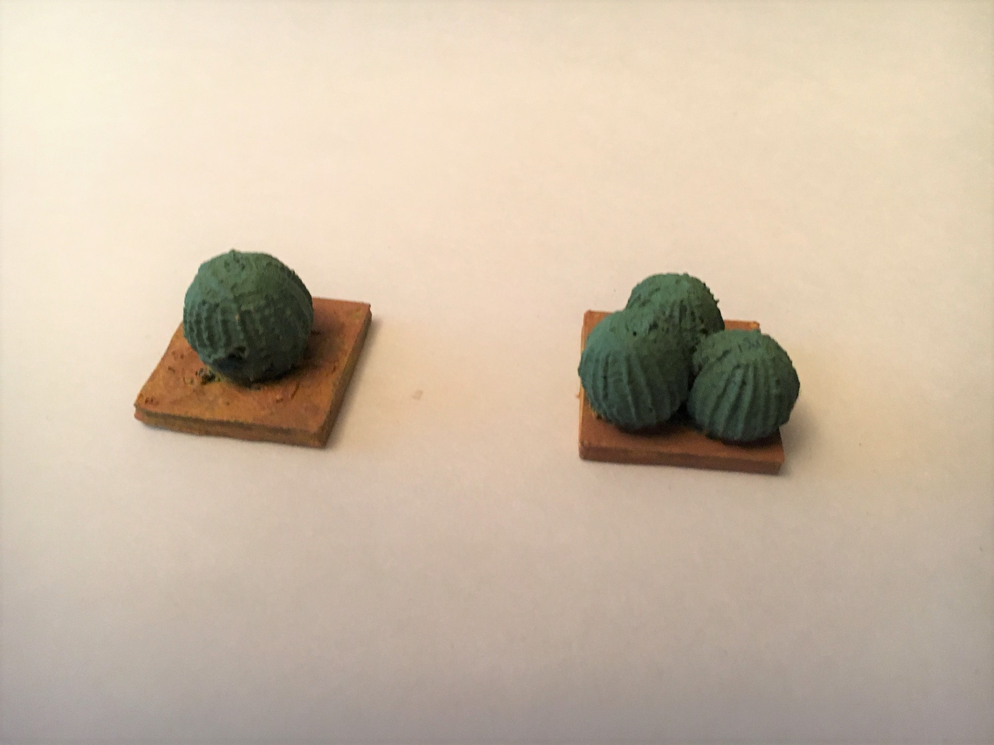 Miniature Cacti Various Families by Melabam | Download free STL model ...