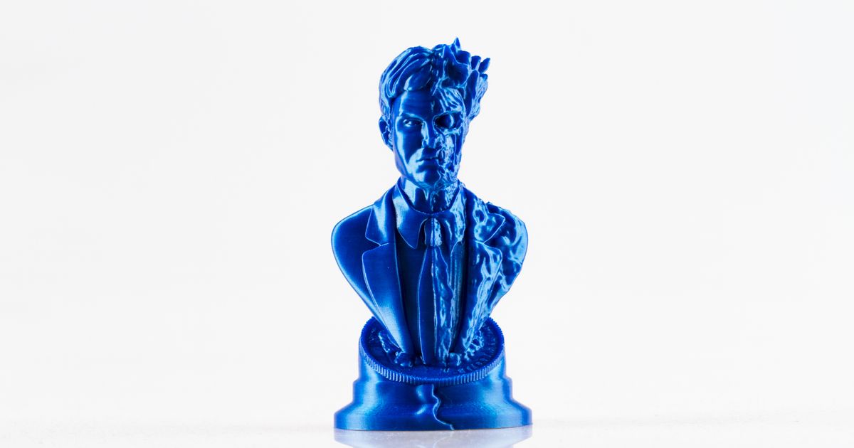Two Face bust by Wekster | Download free STL model | Printables.com