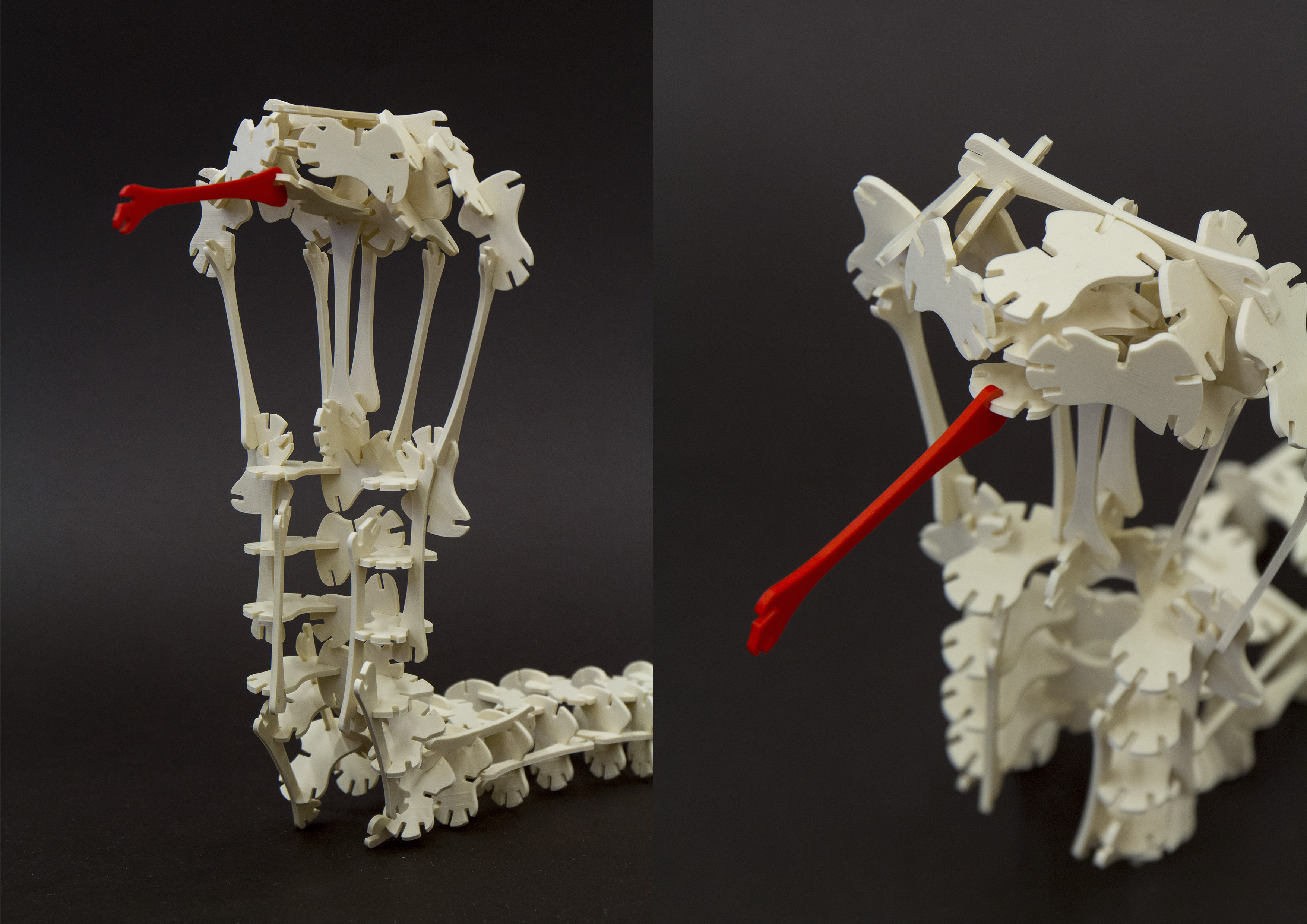 Bones kit by Samotrel | Download free STL model | Printables.com