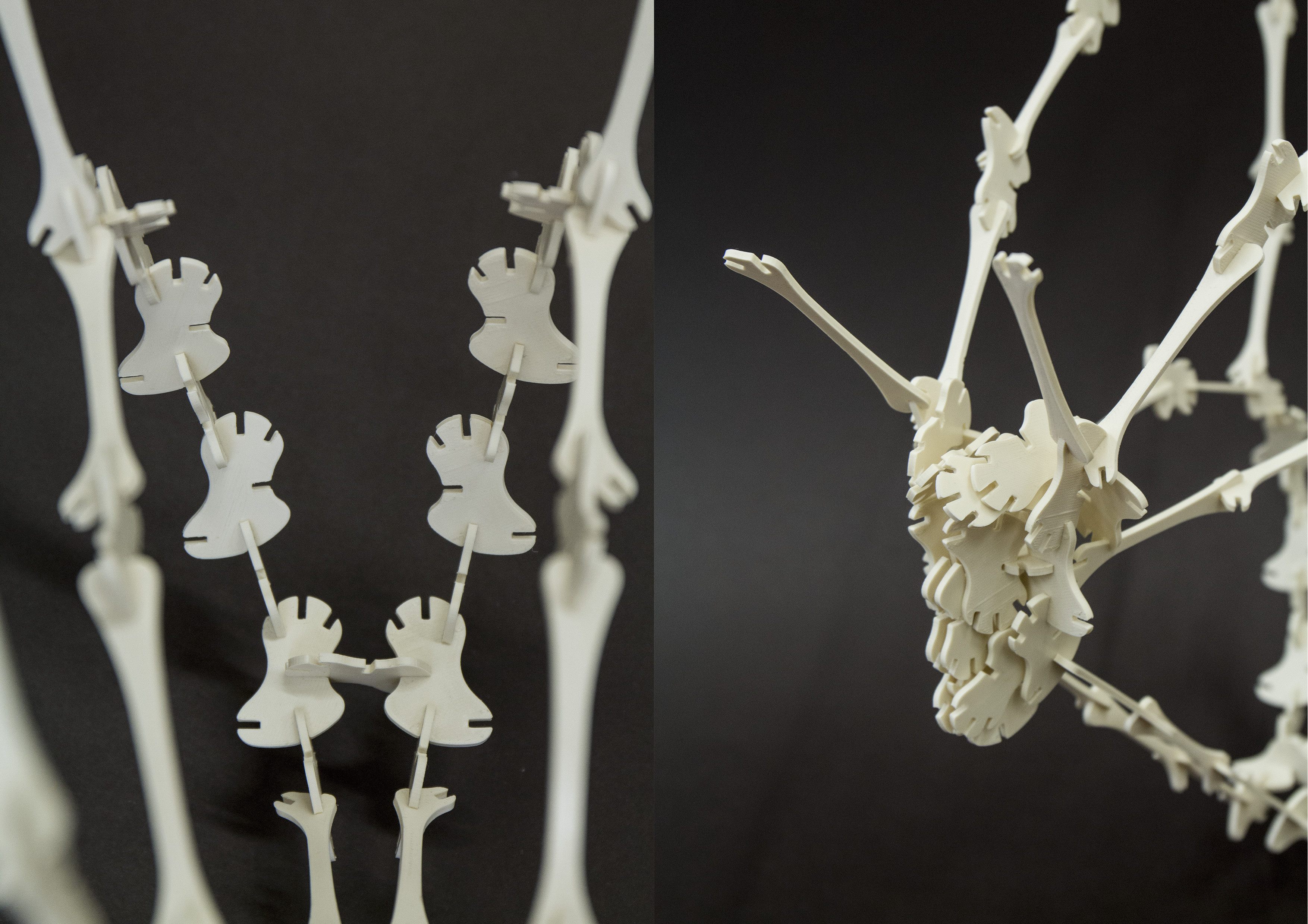 Bones kit by Samotrel | Download free STL model | Printables.com
