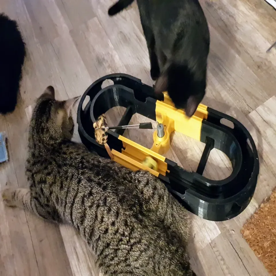 Roomba Cat Pool