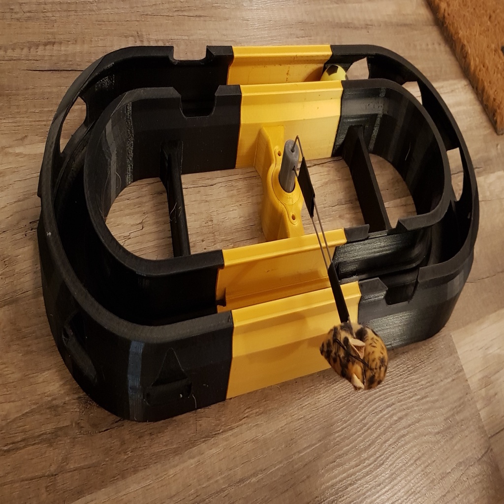 cat toy race track V2 by Buzz | Download free STL model | Printables.com